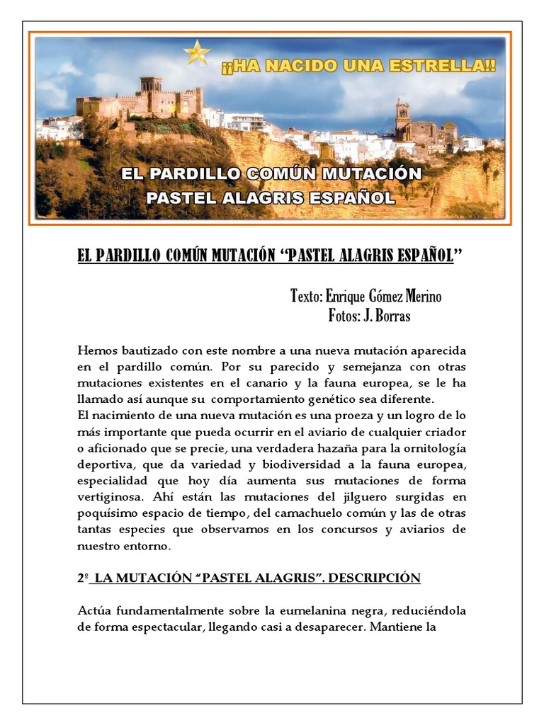 Pardillo Común - Mutacion Pastel Ala-Gris Esp | PDF | Mutación | Pluma