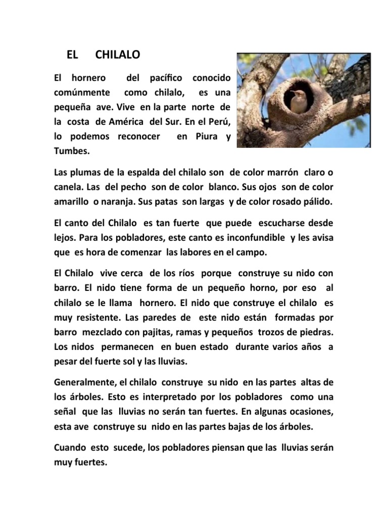 El Chilalo Enviar | PDF | Ornitología | Aves