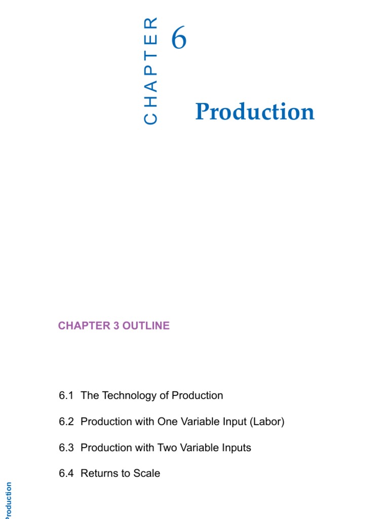 ch06 Production | PDF | Production Function | Business Process