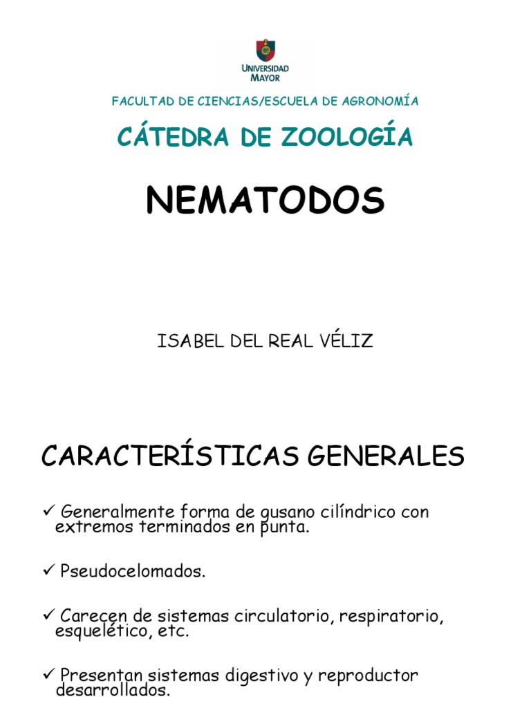 Presentación 8. Nemátodos. (2) | PDF | Nematodo | Organismos