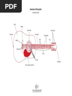 GUITAR ANATOMY - Parts of The Guitar and Tuning Technique | PDF ...