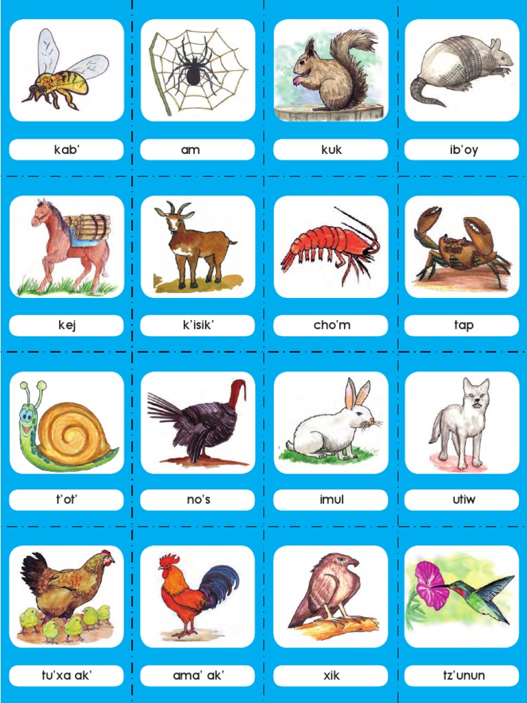 K'iche' Animales | PDF