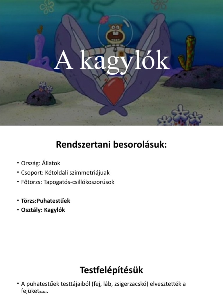 A Kagylok | PDF
