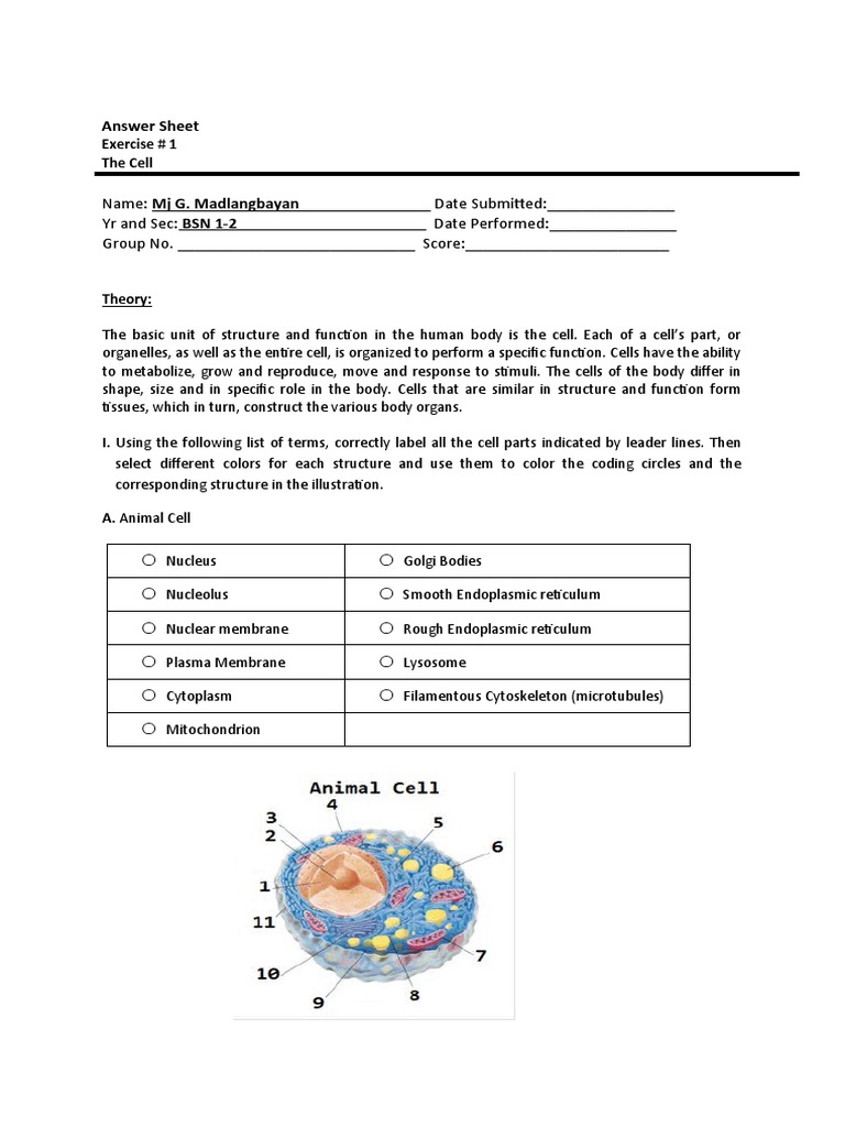 Exercise # 1 - The Cell | PDF | Cell (Biology) | Eukaryotes