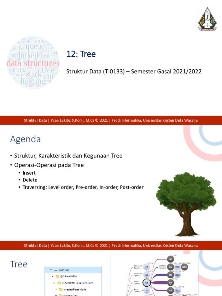 StrukturData 12 | PDF