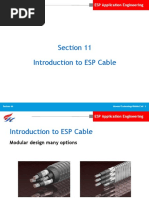 FMC - Novolastic Subsea Thermal Insulation - LOW RES | PDF | Young's ...