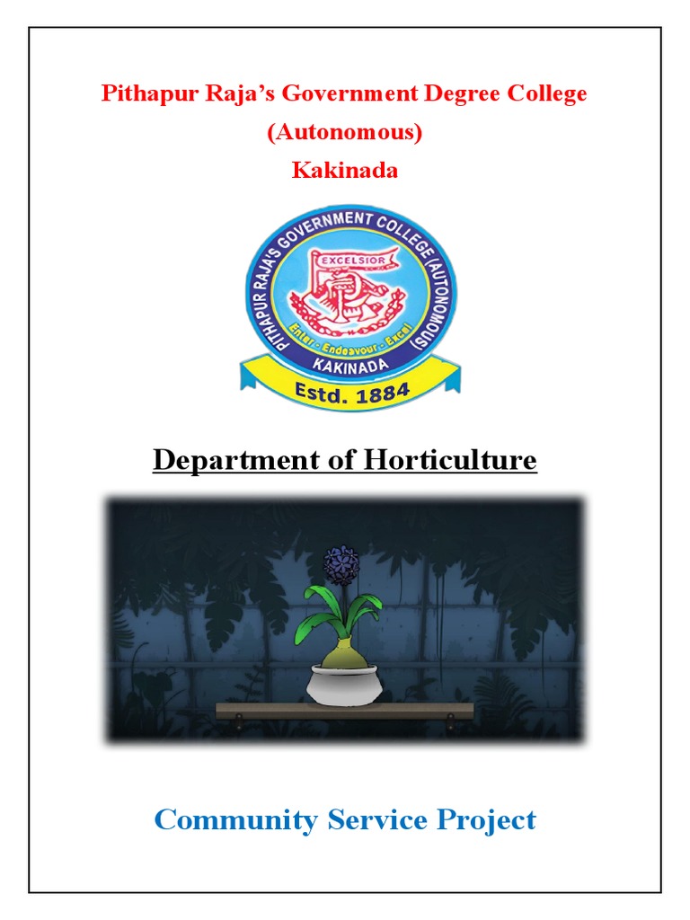 CSP Project Sample Page | PDF