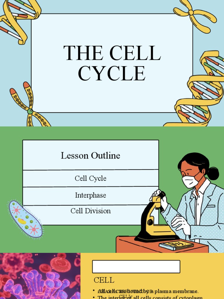 Cell Cycle Pdf Mitosis Cell Biology