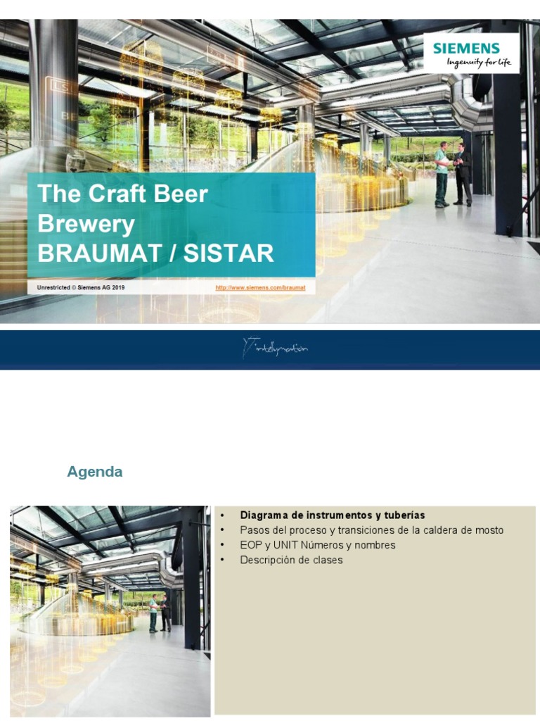 03 Braumat Descripcion de Una Planta Demo | PDF