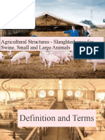 Modern Slaughter House Layout | PDF | Slaughterhouse | Animal Slaughter