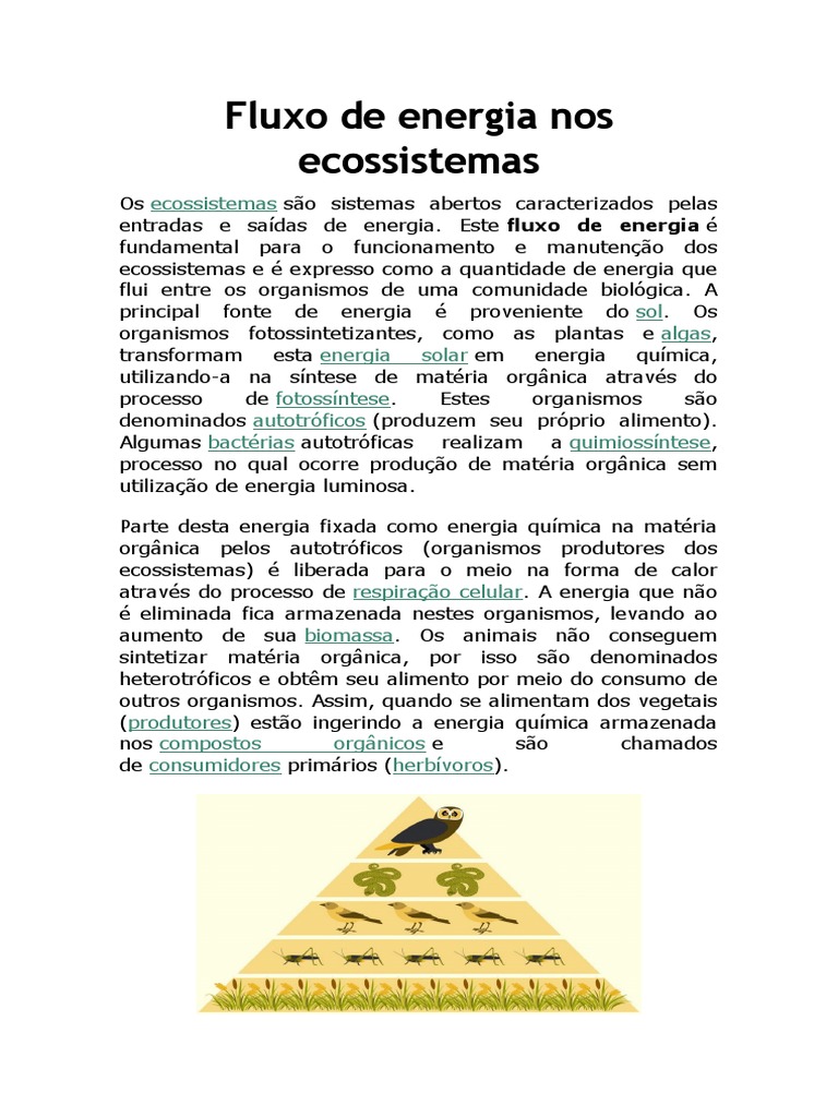 2 - Fluxo de energia nos ecossistemas | PDF | Ecossistema | Química