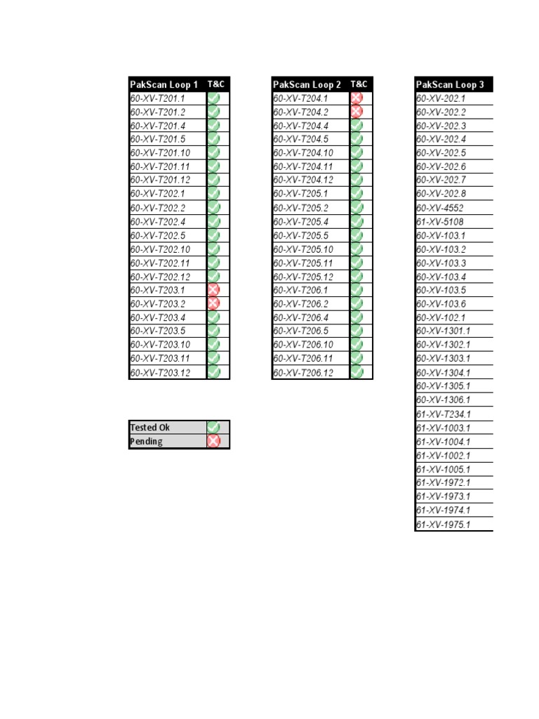Pakscan Loop Test | PDF
