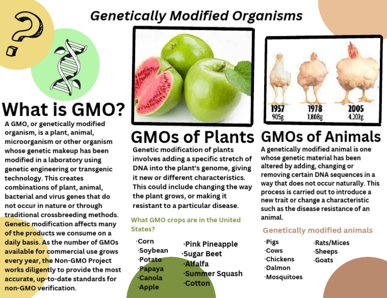 What Is Gmo | PDF