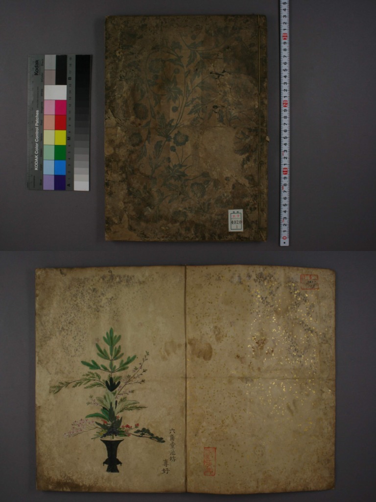 立花图 山中忠左衛門 1698 | PDF