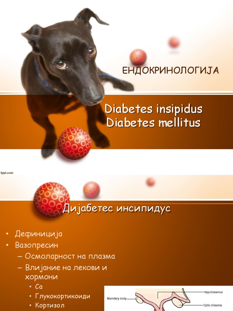 ЕНДОКРИНОЛОГИЈА | PDF