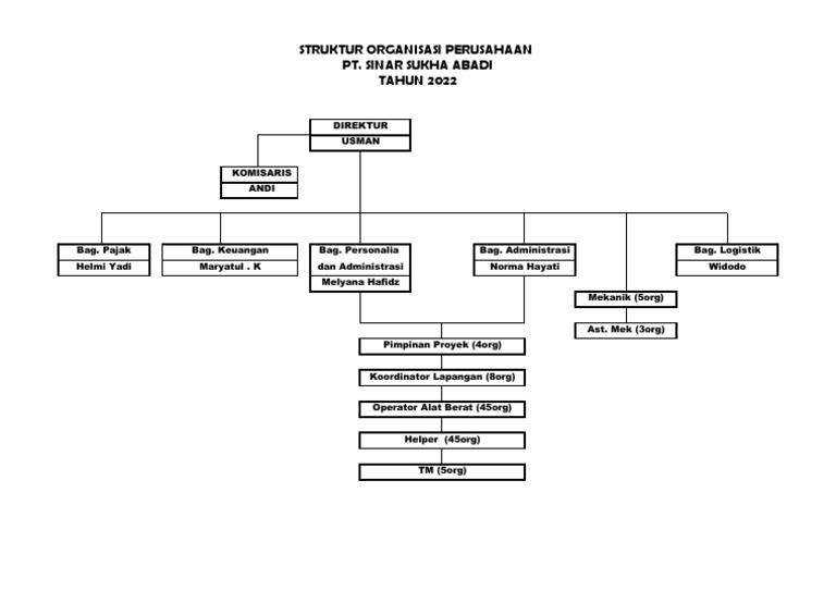 Struktur Organisasi Ssa | PDF
