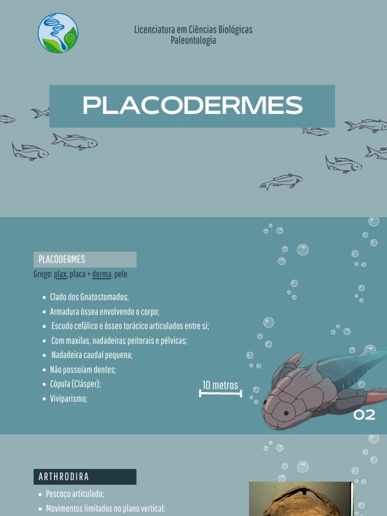 Slides sobre Placodermi | PDF