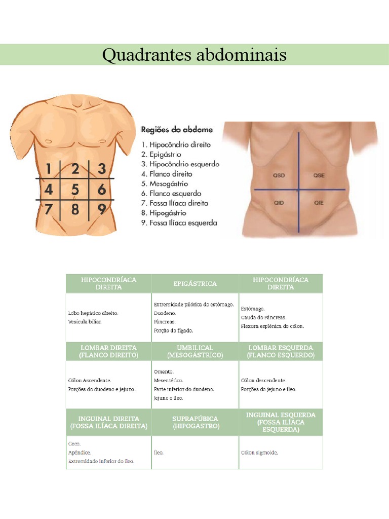 Quadrantes Abdominais | PDF