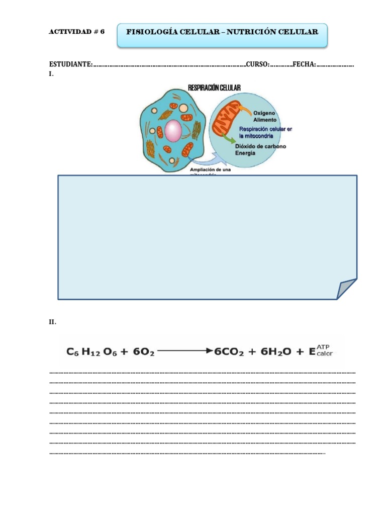 Actividad # 6. Nutrición Celular | PDF