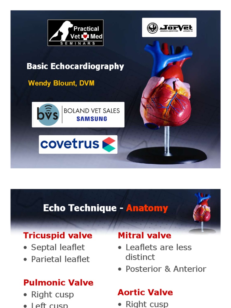 Essential Guide to Basic Echocardiography | PDF | Heart Valve | Ventricle (Heart)