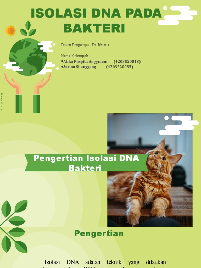 Isolasi Bakteri | PDF | Sains & Matematika