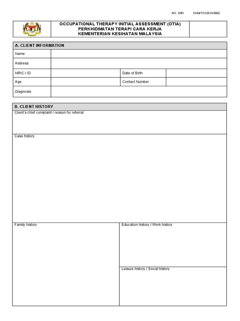 OT Initial Assessment (OTIA) 2022-11-15 | PDF | Psychology | Clinical ...