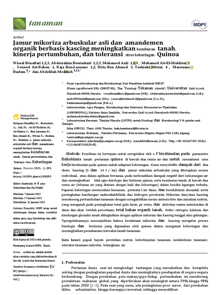 Jamur mikoriza arbuskular asli dan amandemen organik berbasis kascing ...