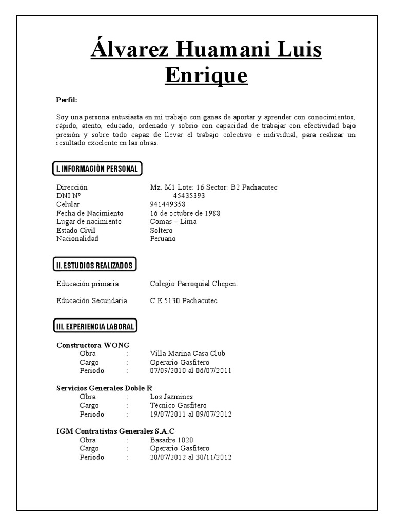 Curriculum Documentado | PDF