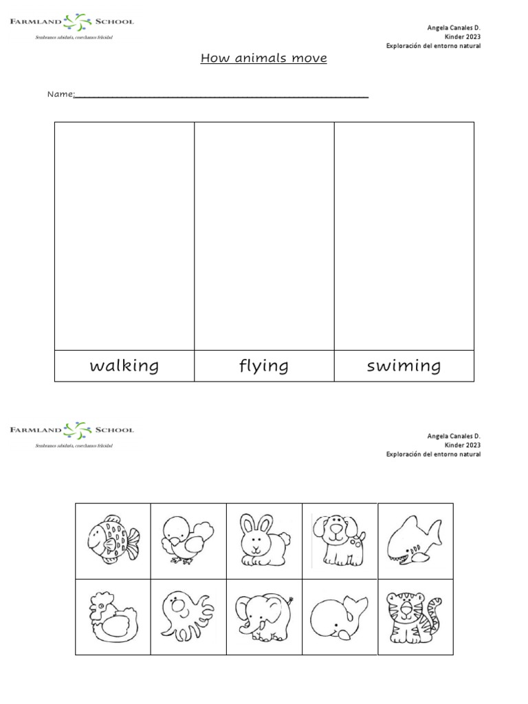 How Animals Move | PDF