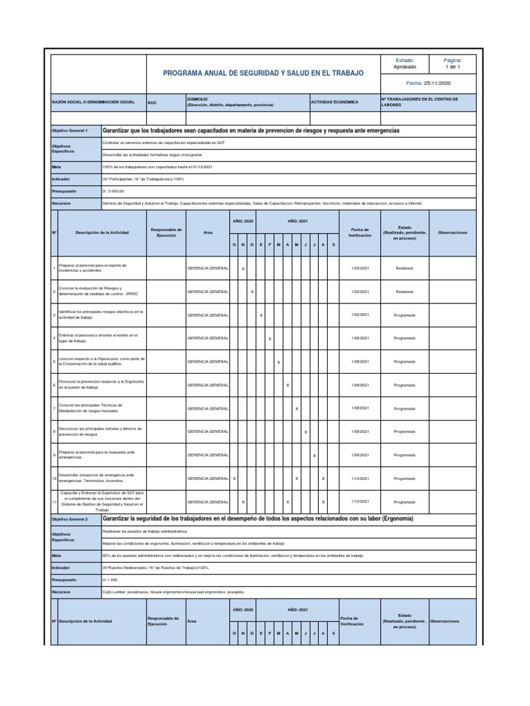 Programa Anual de Seguridad y Salud en El Trabajo-2020-2021 | PDF