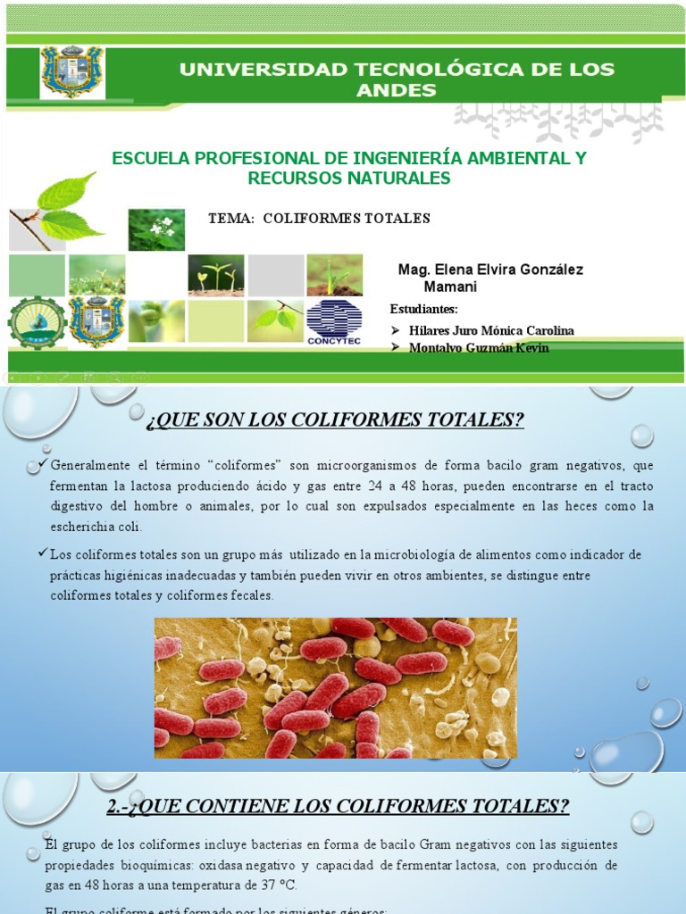 Análisis de Coliformes Totales en Agua | PDF | Las bacterias | Organismos