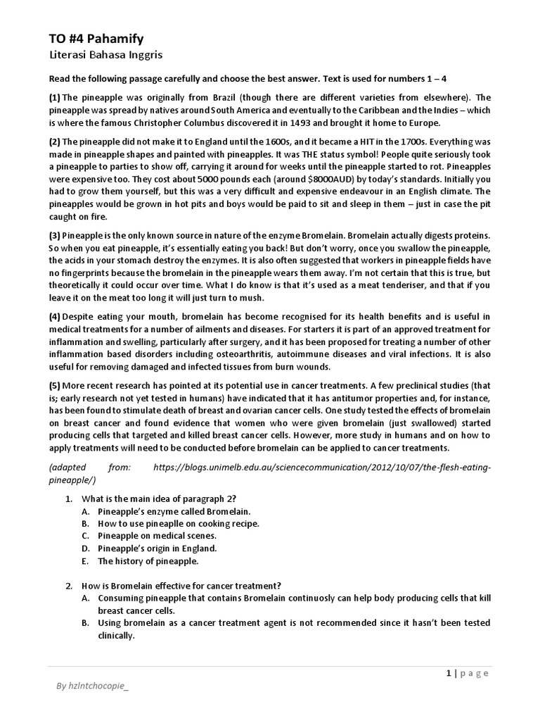 Literasi Bahasa Inggris Pdf Dialectical Behavior Therapy