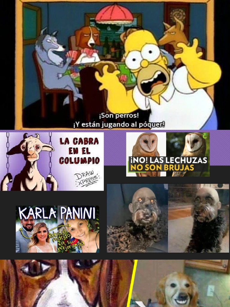 Perro Comiendo Cereal | PDF