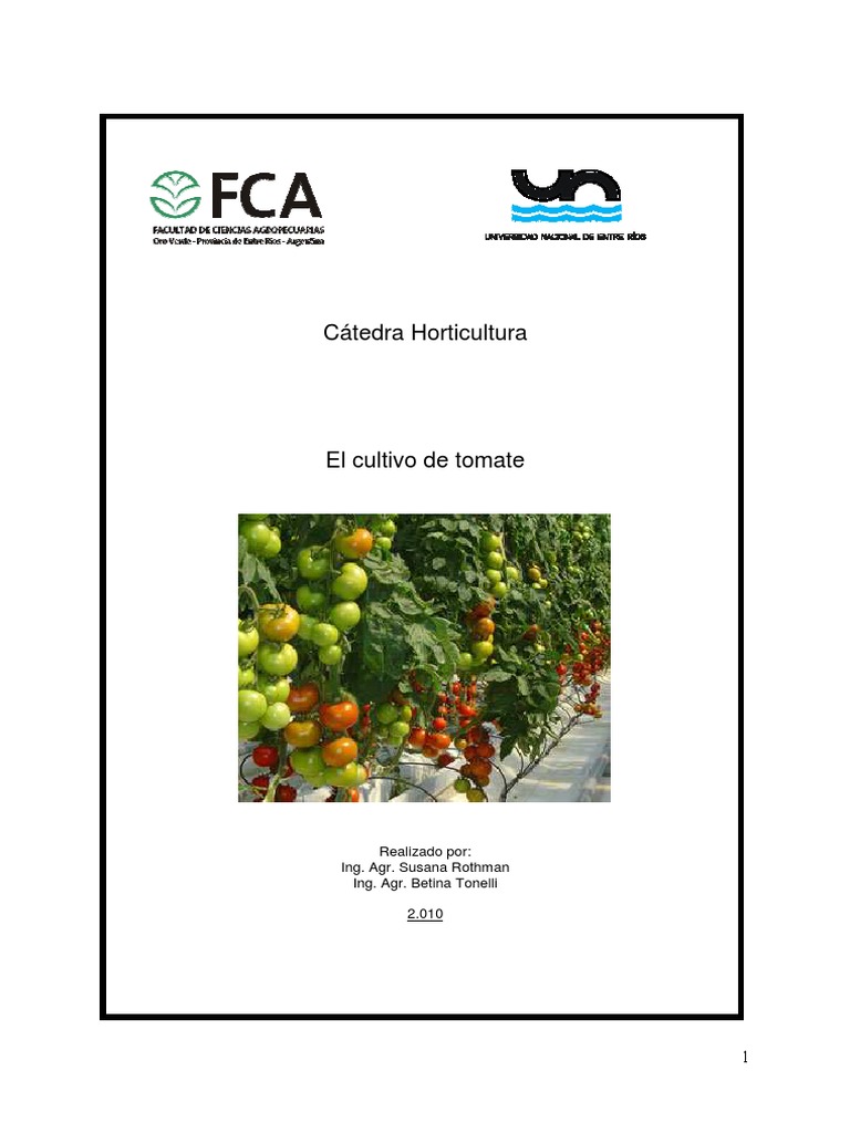 Cultivo de Tomate | PDF