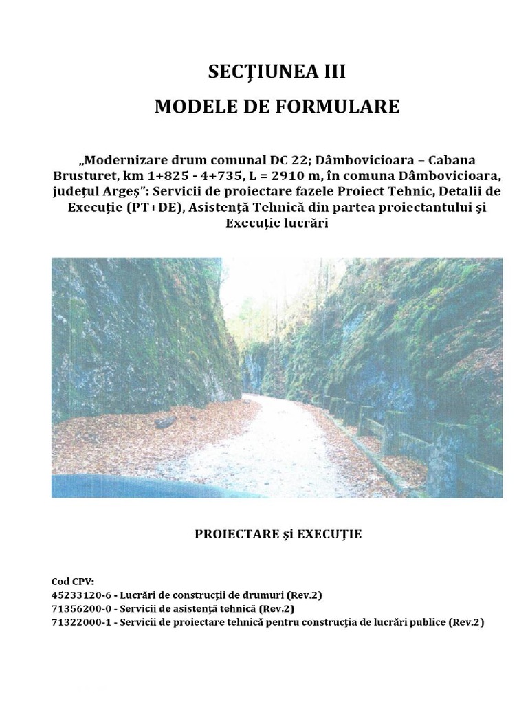 Sectiunea - 3 - Modele de Formulare - Modernizare Drum Comunal DC 22 | PDF Sectiunea - 3 - Modele de Formulare - Modernizare Drum Comunal DC 22 | PDF