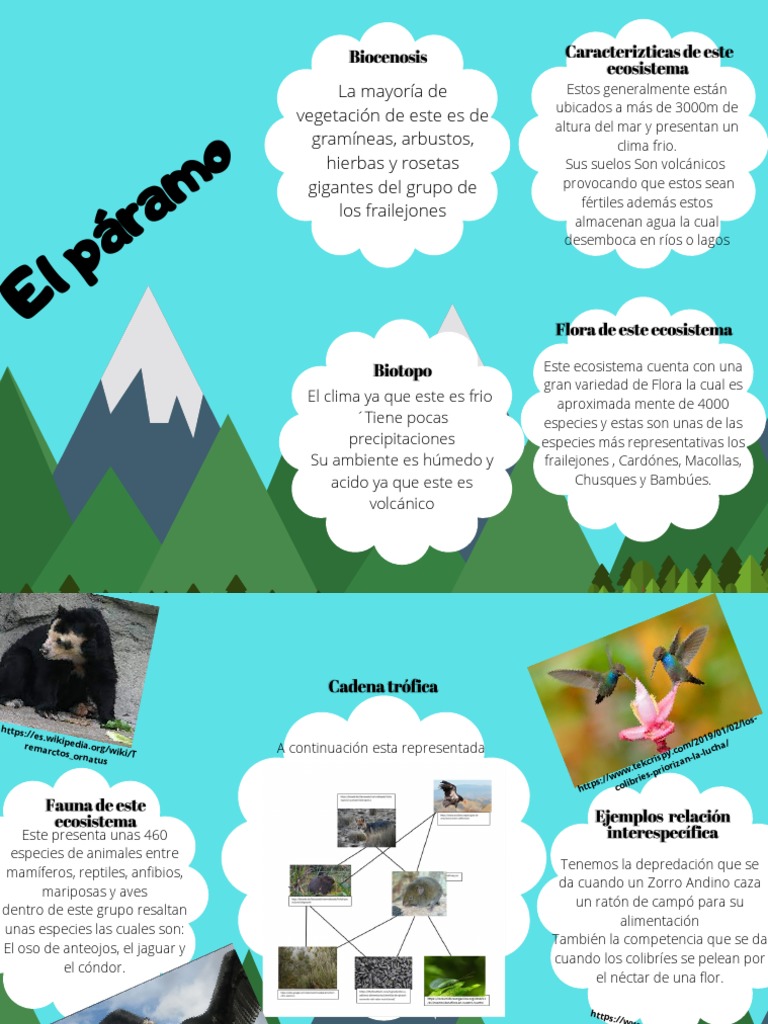 El Páramo | PDF | Organismos | Ciencias de la Tierra
