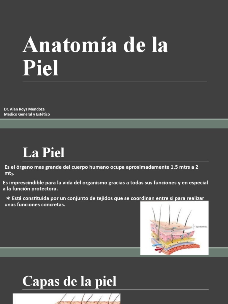 Anatomia de La Piel | PDF | Epidermis | Piel