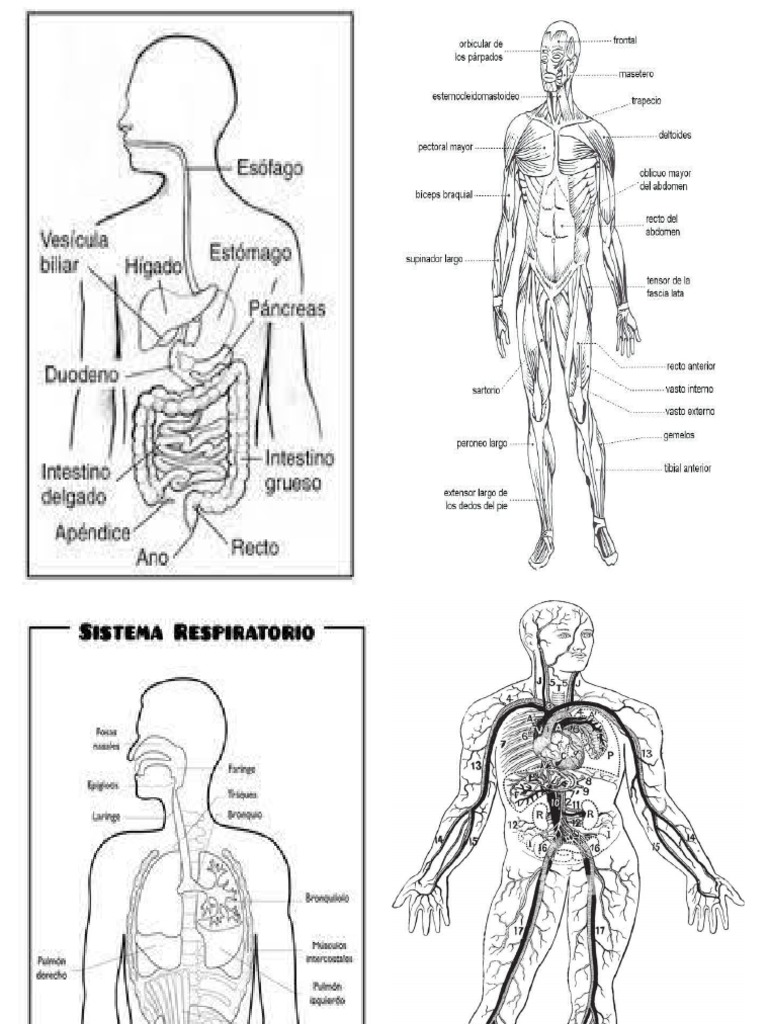 Sistemas en Blanco y Negro | PDF