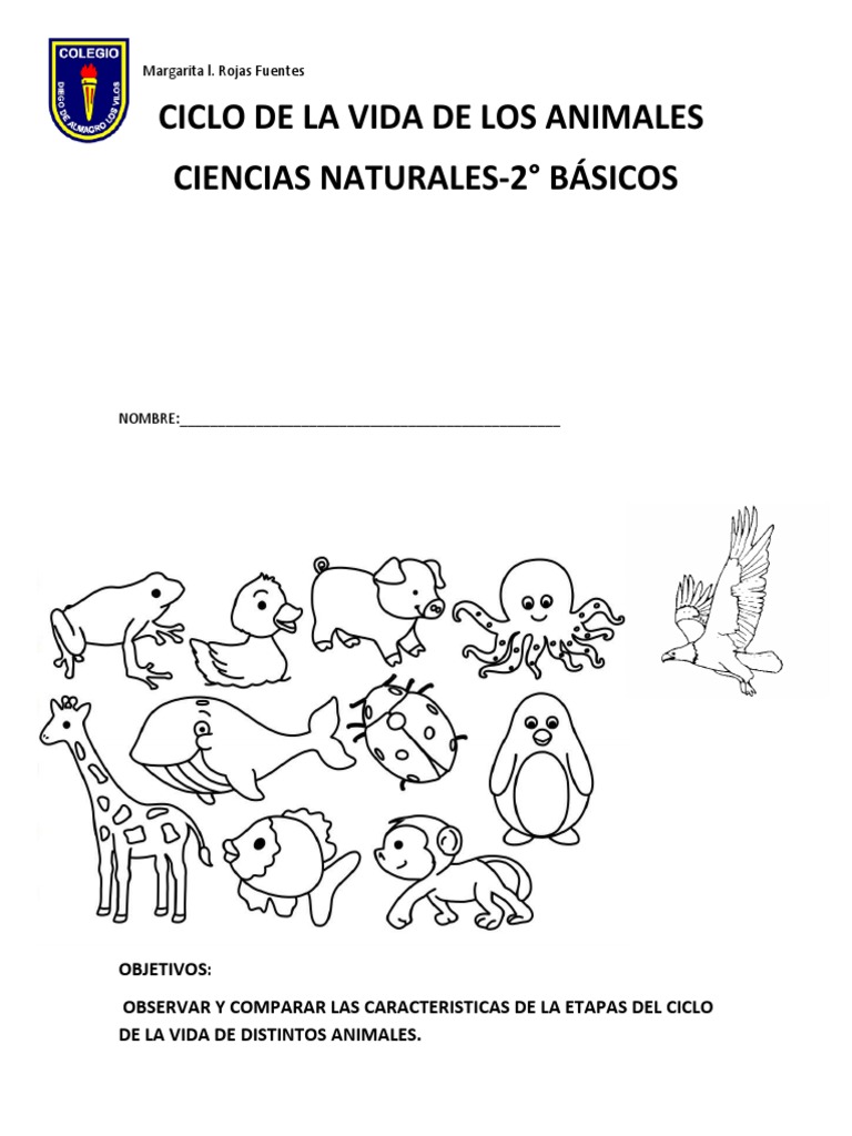 Ciclo de La Vida de Los Animales | PDF