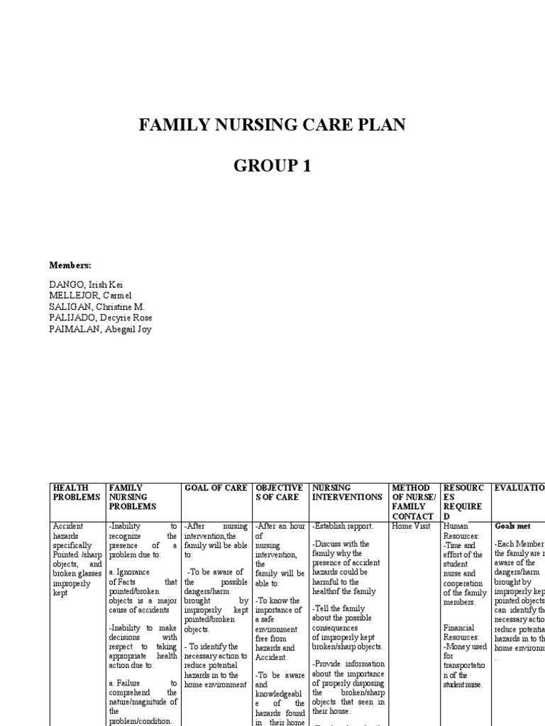 Family Nursing Care Plan for Safety | PDF | Nursing | Hazards