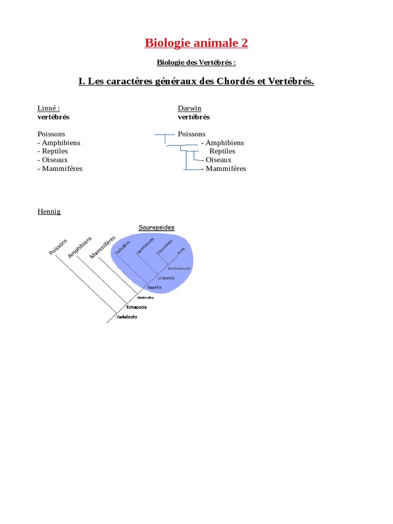 Chap 1 Et 2, Les Vertébrés | PDF | Colonne vertébrale | Vertébrés