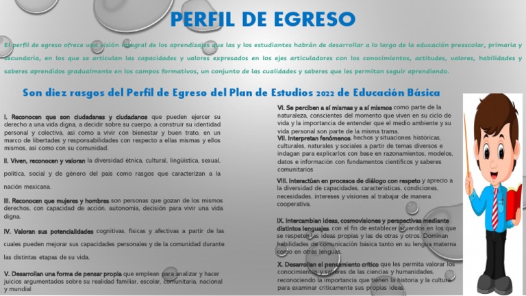 Perfil de Egreso | PDF