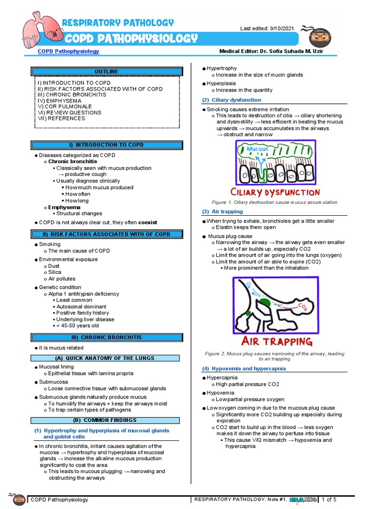 241 - Respiratory Pathology] COPD _ Pathophysiology | PDF | Respiratory ...