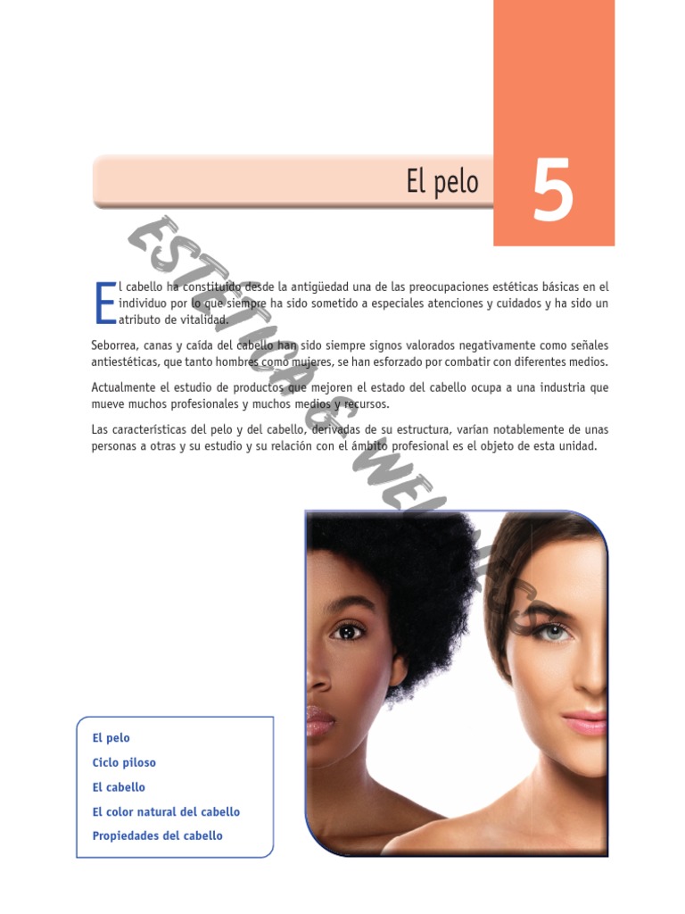 Análisis Capilar El Pelo | PDF | Pelo | Anatomía