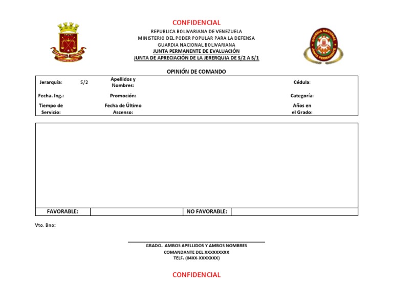Formato de Opinión de Comando S2 A S1 2020 | PDF
