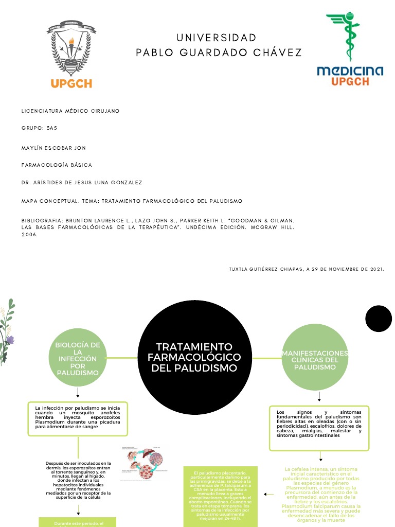 Tratamiento Farmacológico Del Paludismo | PDF | Malaria | Causas de la ...