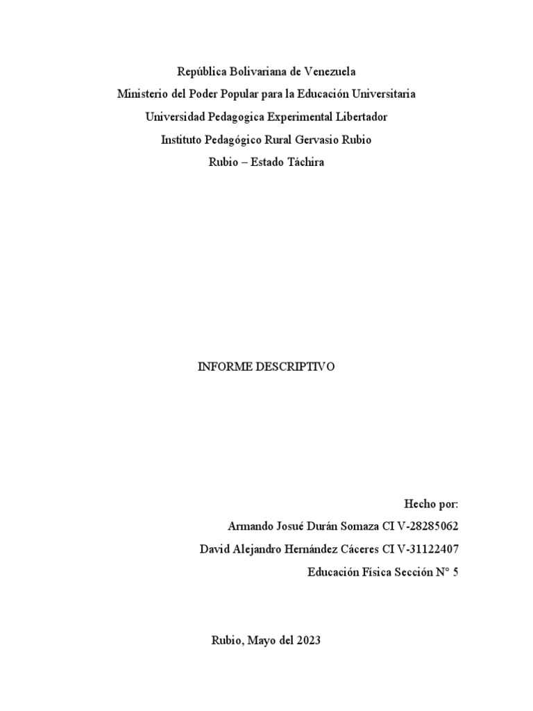 Informe Descriptivo | PDF