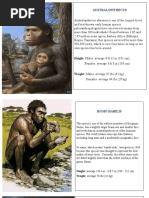 Cranial Capacity Tables | PDF | Homo | Paleoanthropology