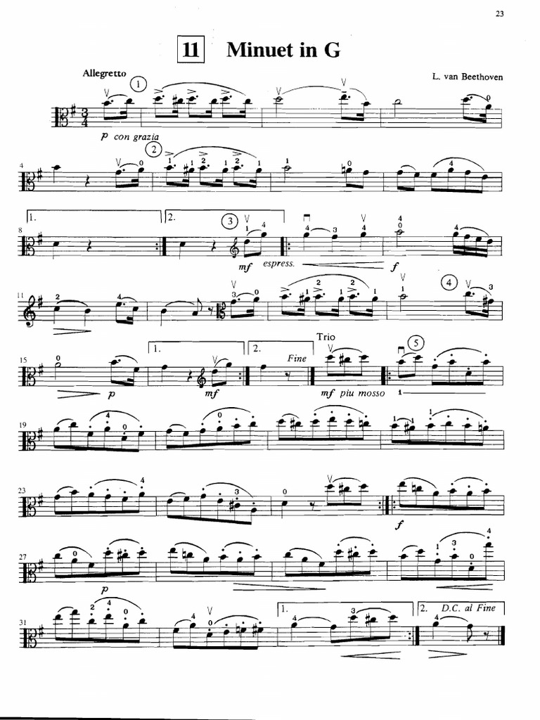Viola Minuet in G | PDF