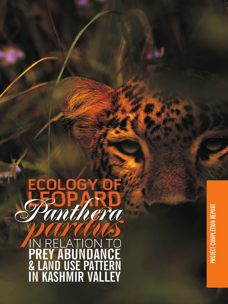 Ecology Leopard J&K Executive Summary | PDF | Leopard